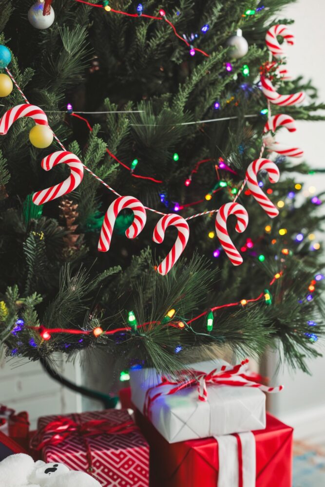 20 Festive Christmas Garland Ideas to Make Your Home Shine - Trimmed Roots