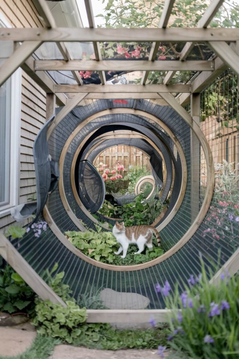 18 Purr-fect Catio Ideas That Work in Any Home - Trimmed Roots