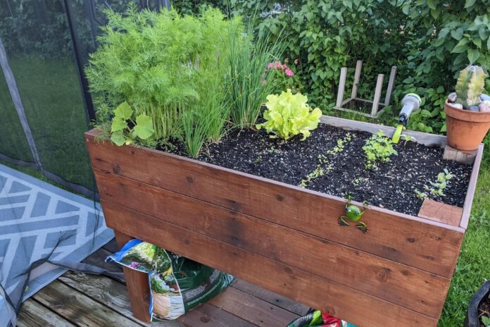 24 Creative DIY Small Garden Ideas to Transform Tiny Spaces - Trimmed Roots