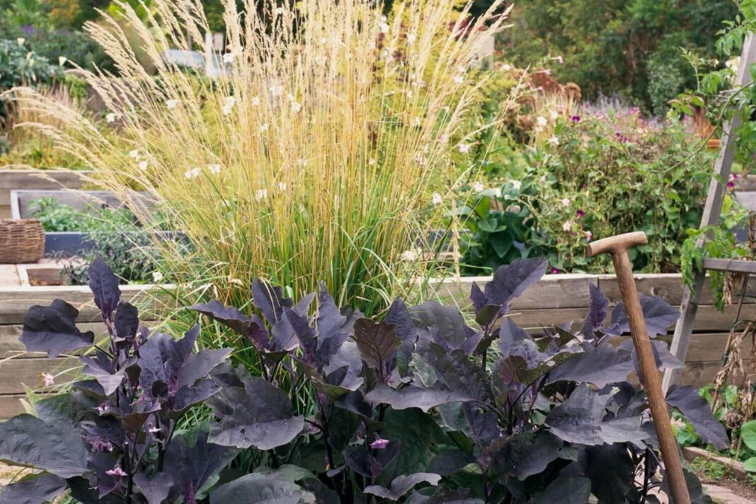 11 Beautiful Ways to Use Ornamental Grasses in Your Garden - Trimmed Roots